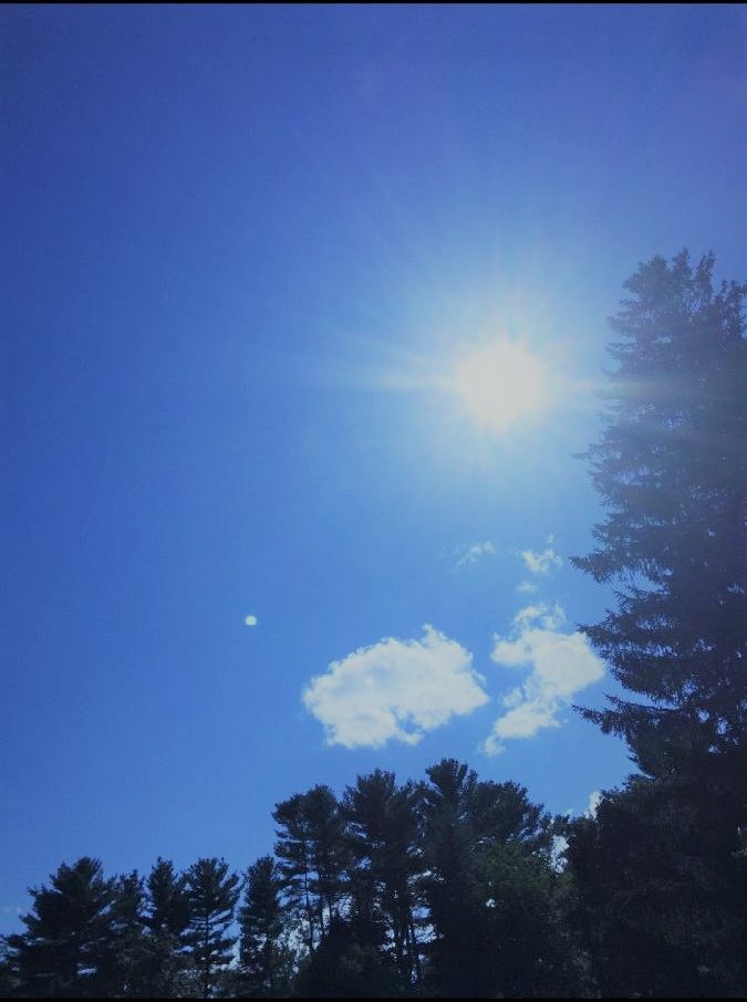 New York Business Lawyer Blog — Published by New York, Business ...